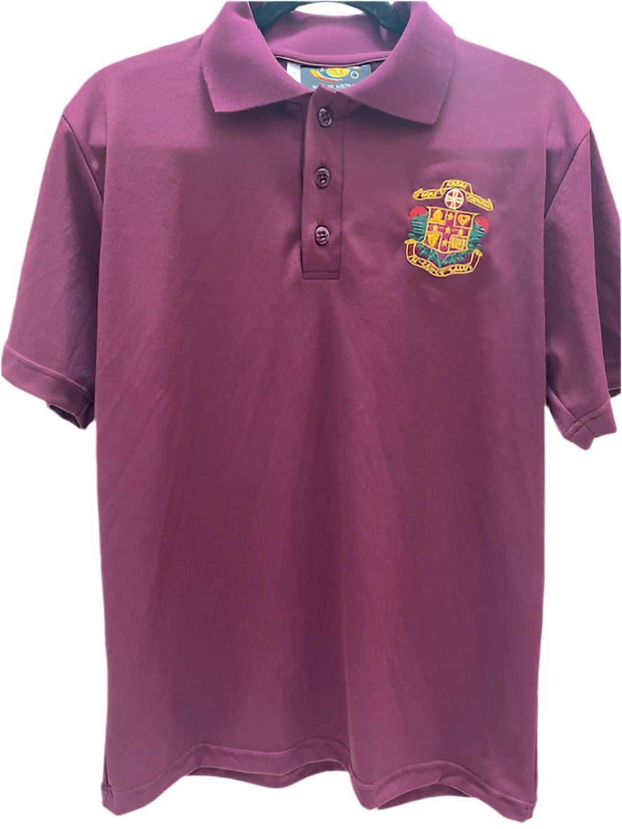 Senior Sports Polo Yr 10-12 – Holy Cross College Uniform Shop